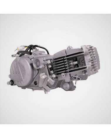 MOTORE ZS 212 2V KICK STARTER ZONGSHEN - T-Moto specialisti Off Road