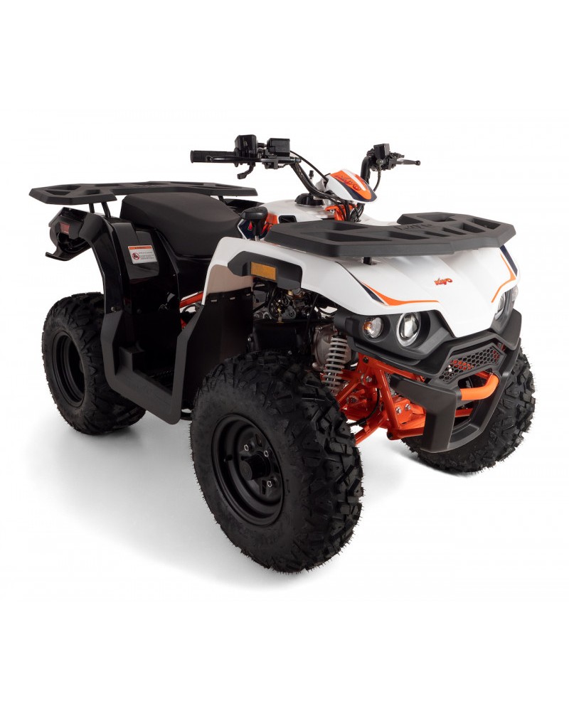 NUOVO Maxi Quad Kayo HUMMER AU180 - T-Moto Specialisti Offroad